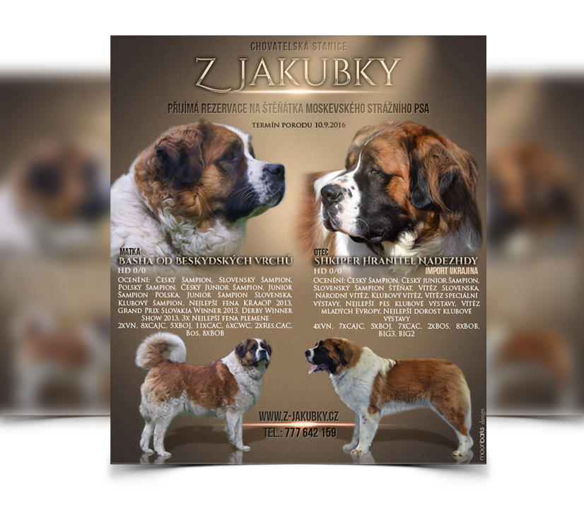 Breeder webdesign, dog kennel design, Best dog breeder webdesign, dog ...