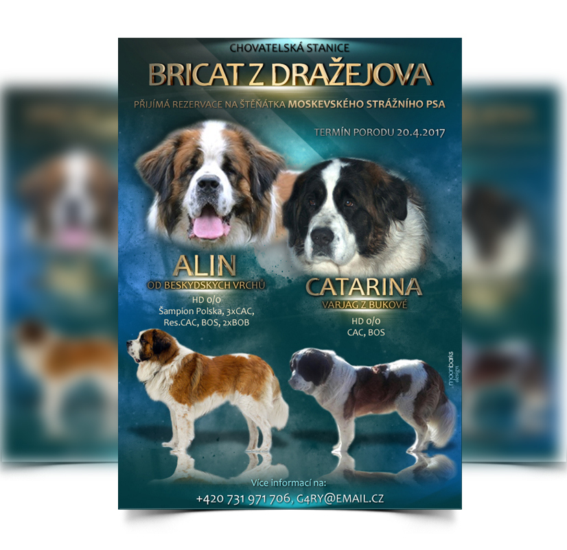 Breeder webdesign, dog kennel design, Best dog breeder webdesign, dog ...